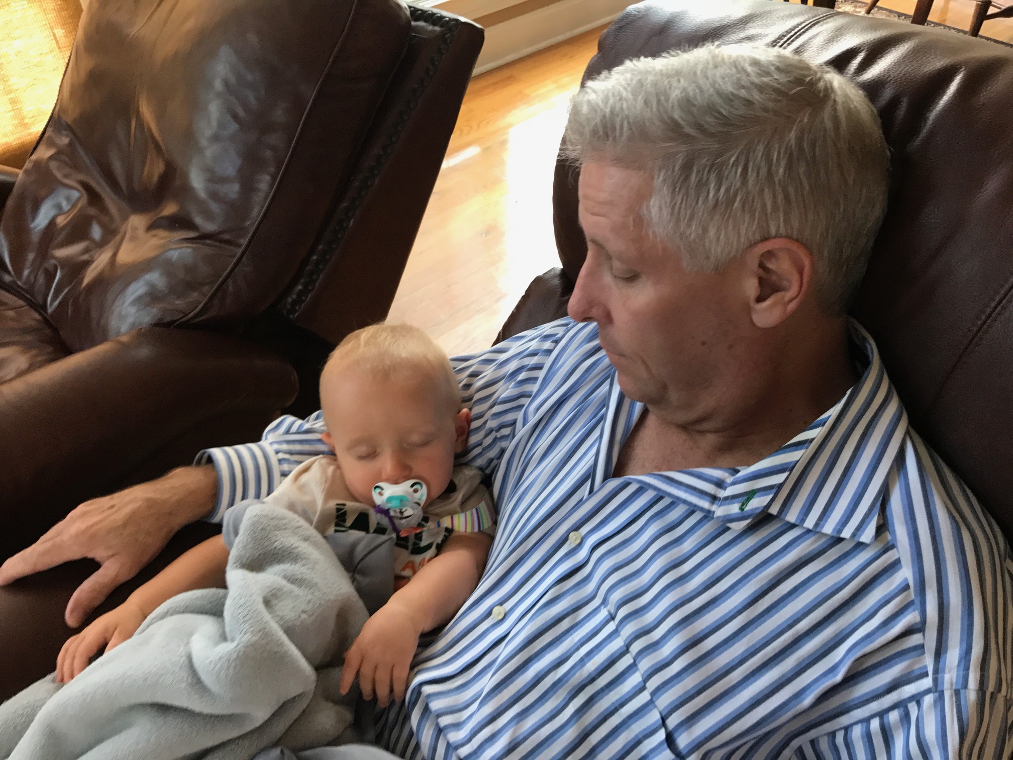 Blog - Save the Storks