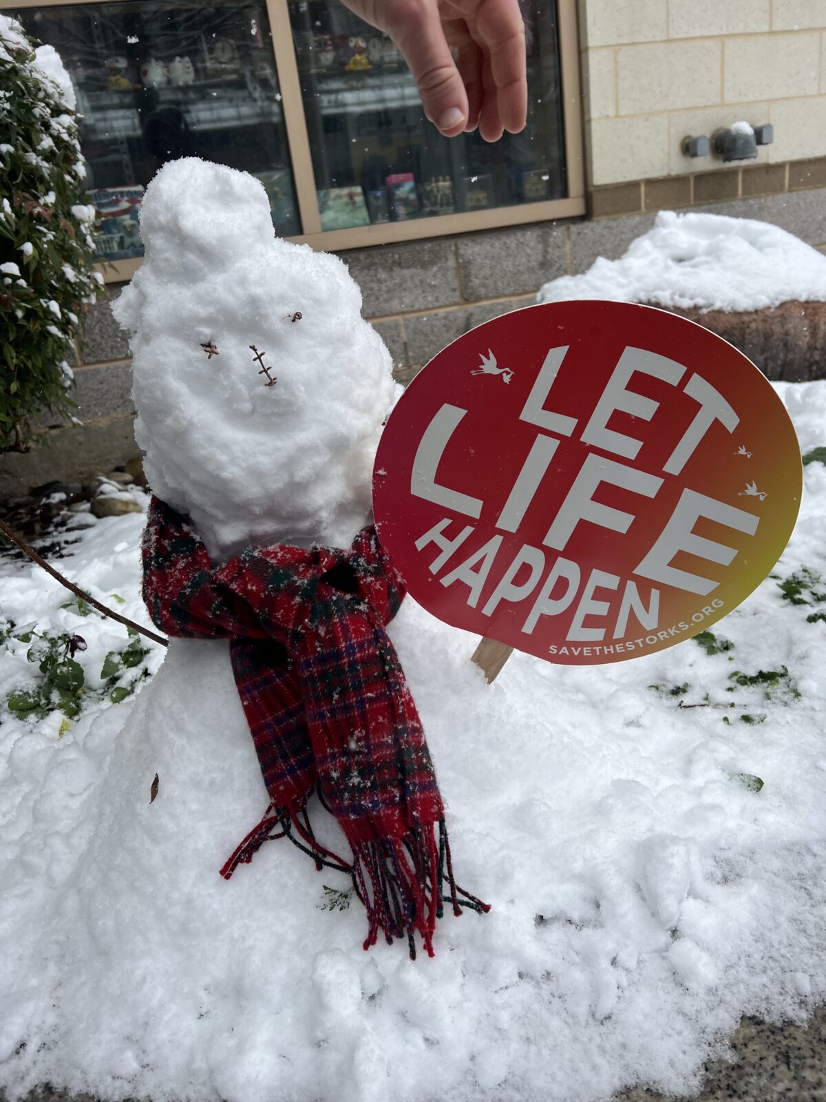 March for Life 2024 Best Signs - Save the Storks