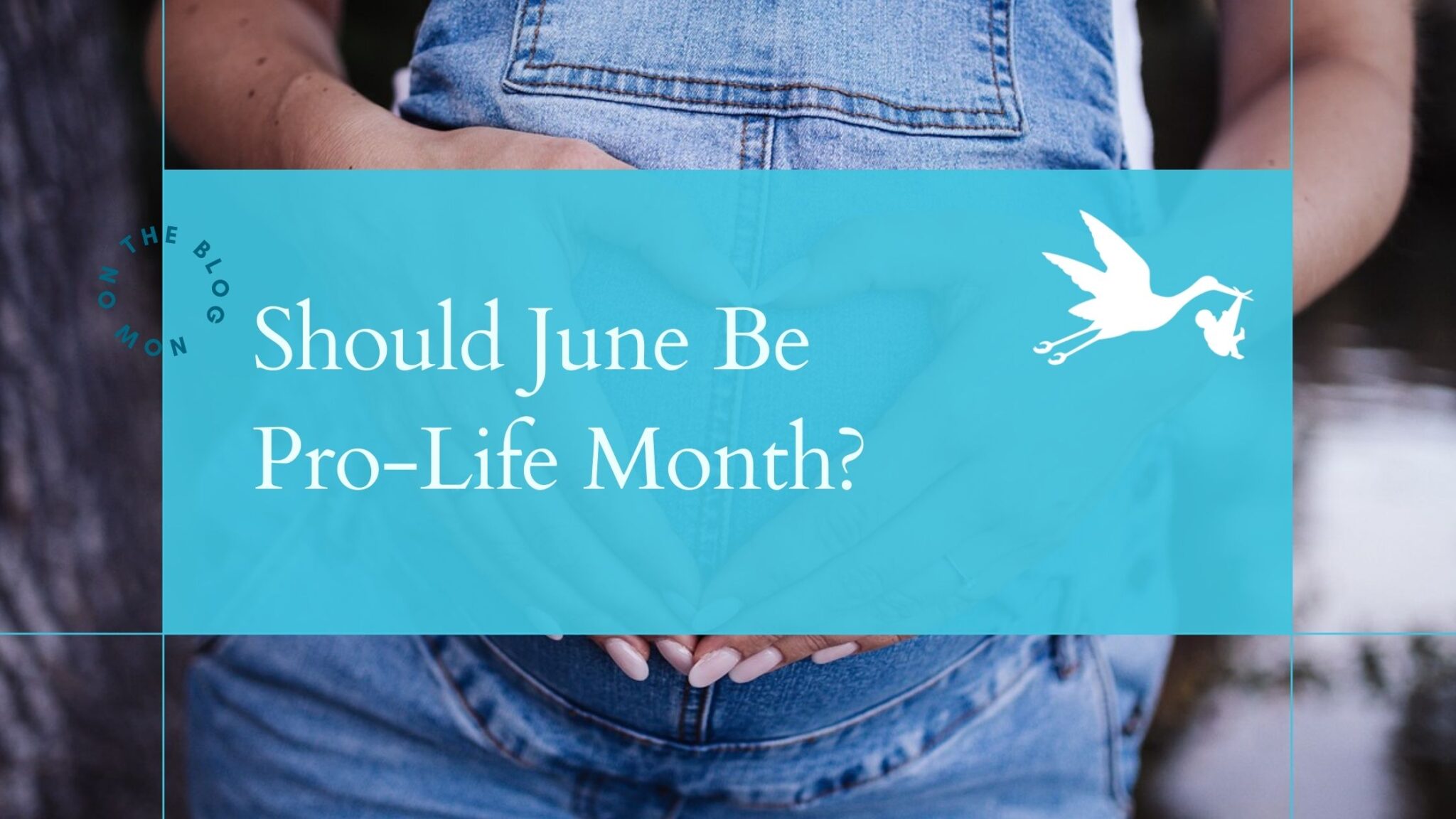 What Does Pro Life Really Mean? - Save the Storks