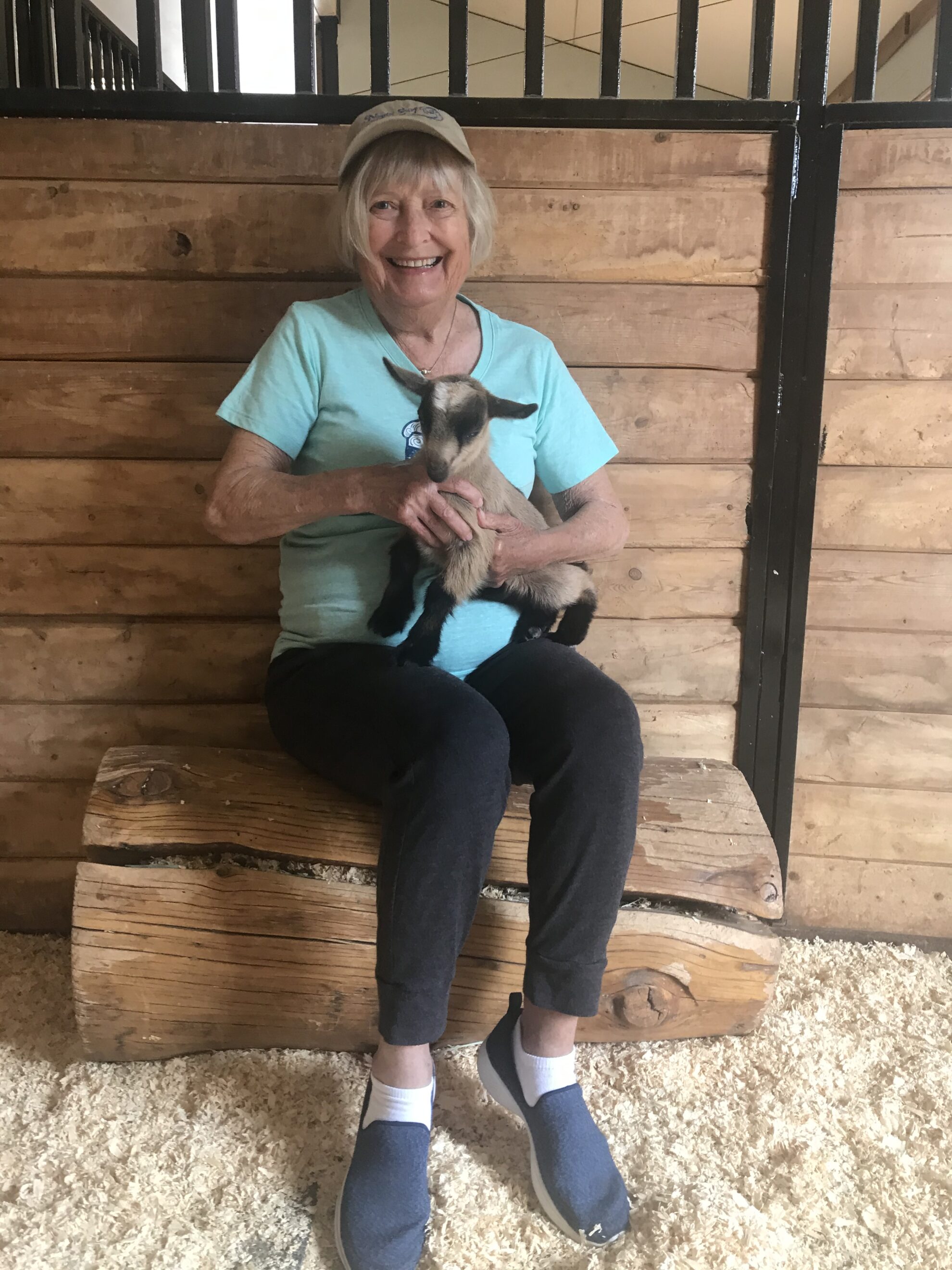 Honoring Nancy Lewis: A Champion for Life - Save the Storks