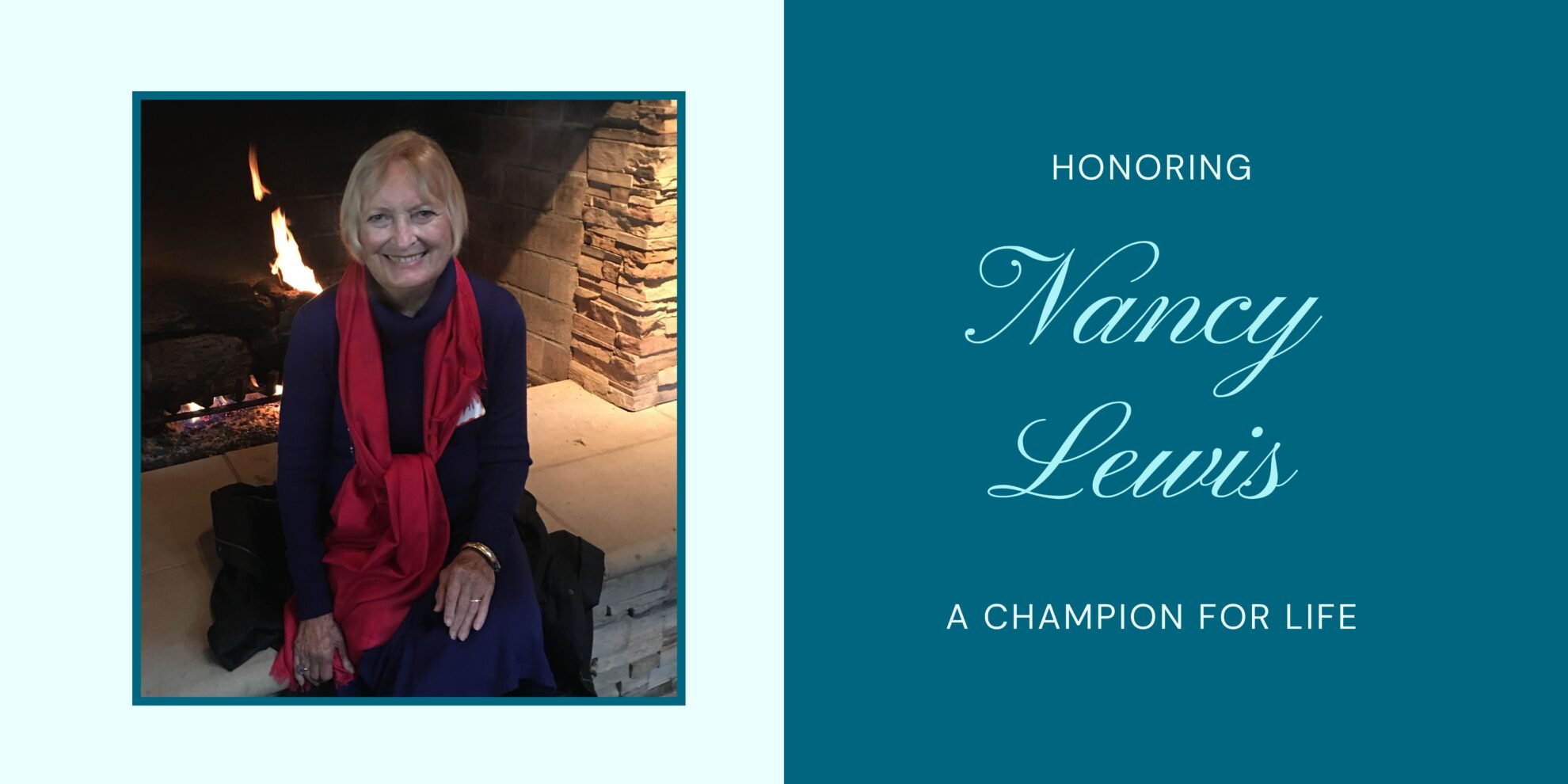 Save the Storks - Pro-Life Politics and Pregnancy Resource Centers